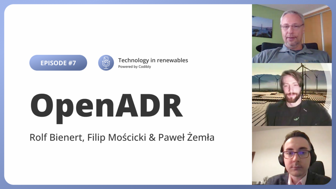 Technology in Renewables #7 Rolf Bienert (OpenADR) - Codibly - Create ...